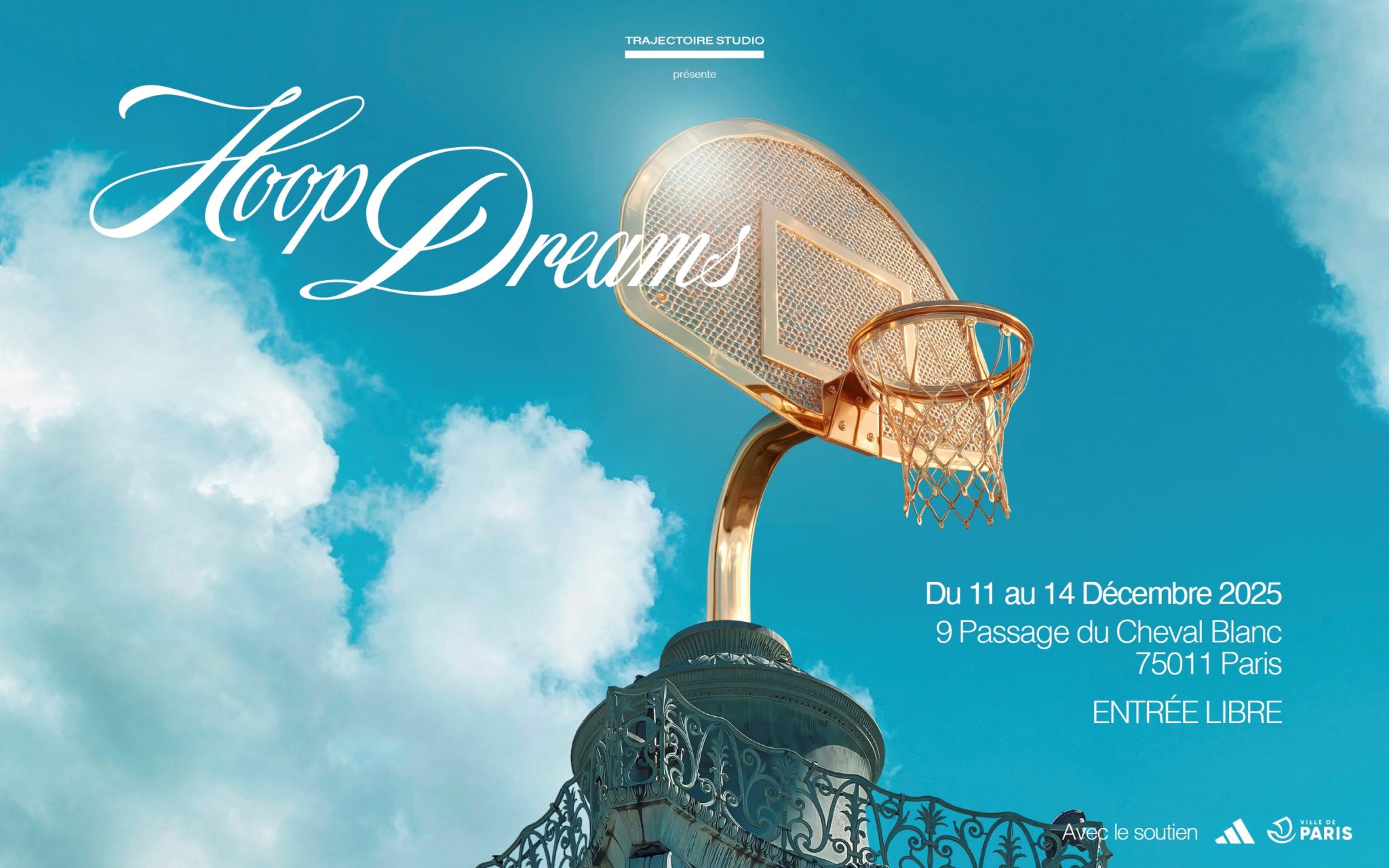 Découvrez Hoop Dreams - ParisBasketball